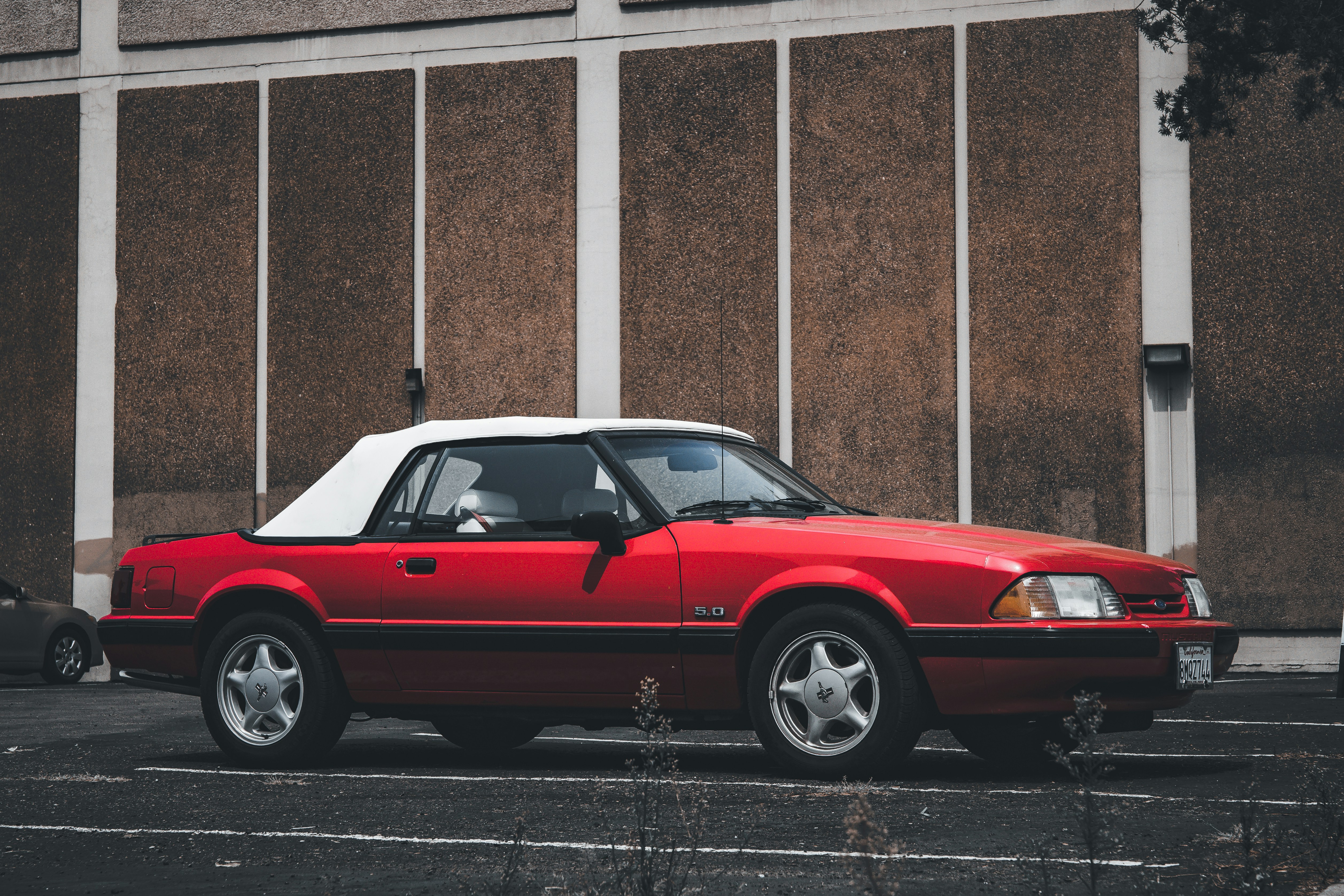 Fox Body Finder